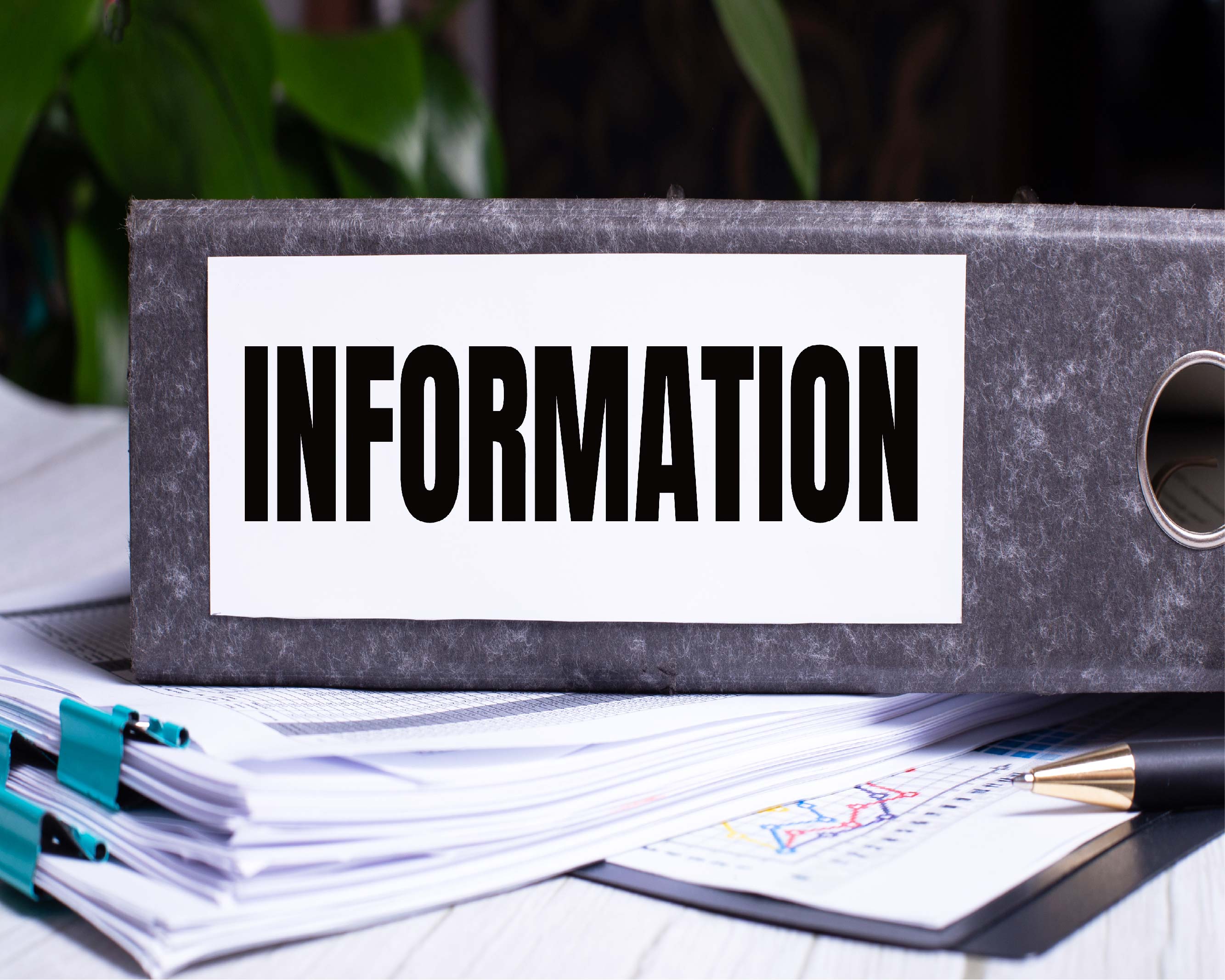 Allgemeine Informationen | Downloads | Leistungen | DP Solutions Online ...